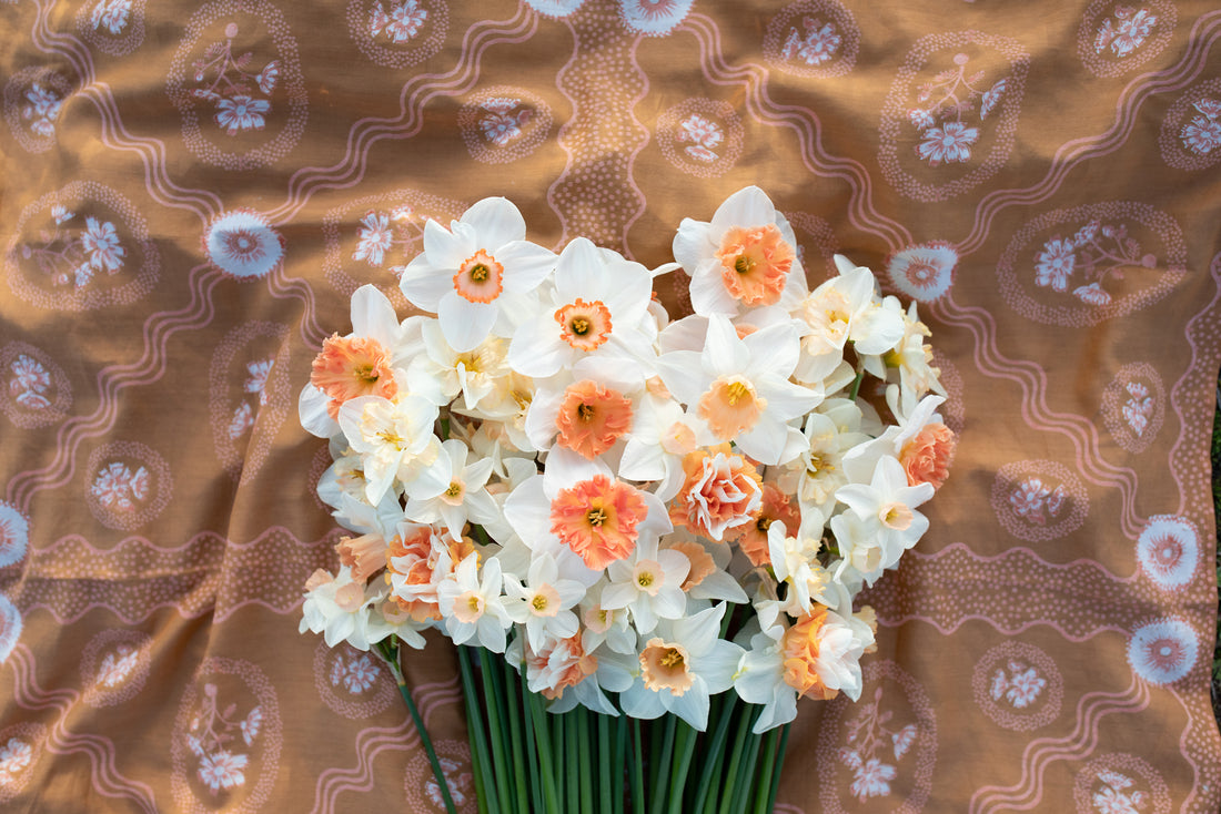 Scarves – Block Shop